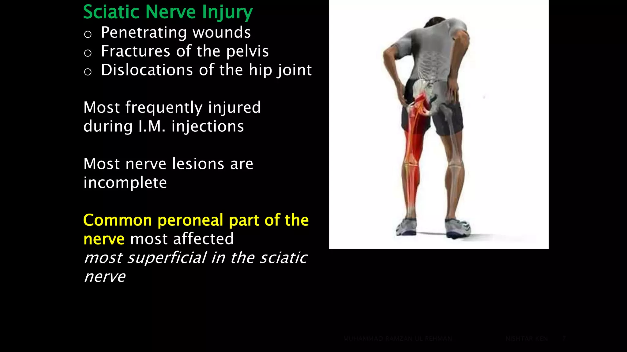 Clinical anatomy of the lower limb | PPTX