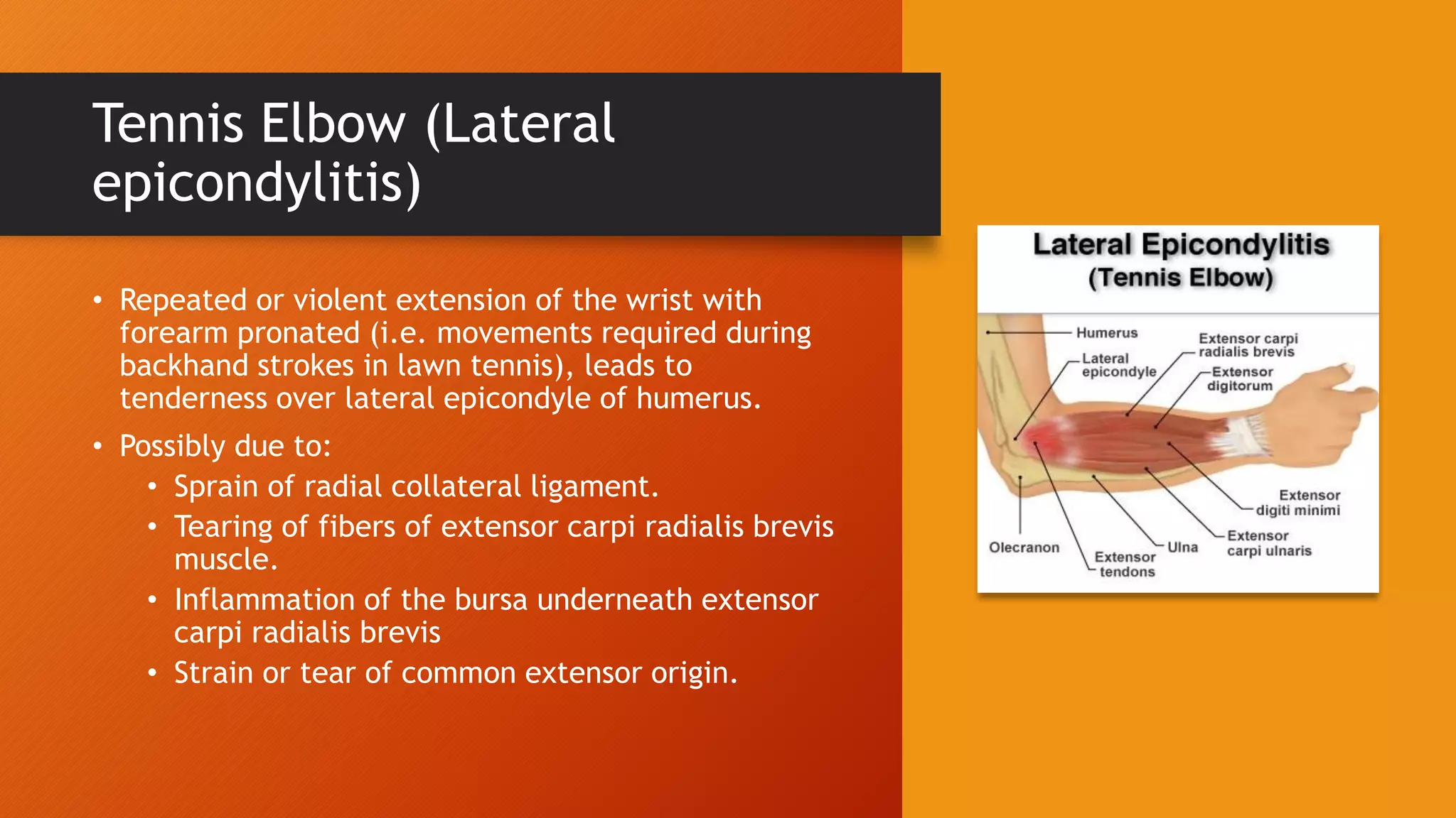 Clinical-Anatomy-of-the-Upper-Limb.pdf