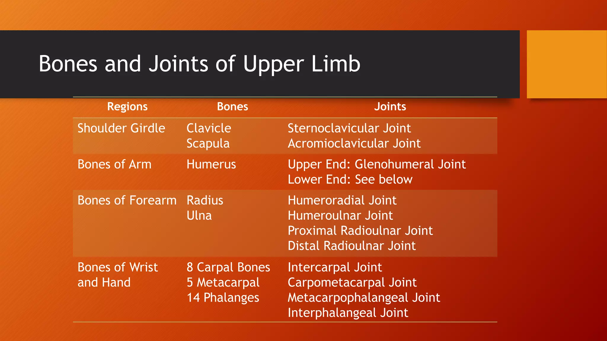 Clinical-Anatomy-of-the-Upper-Limb.pdf