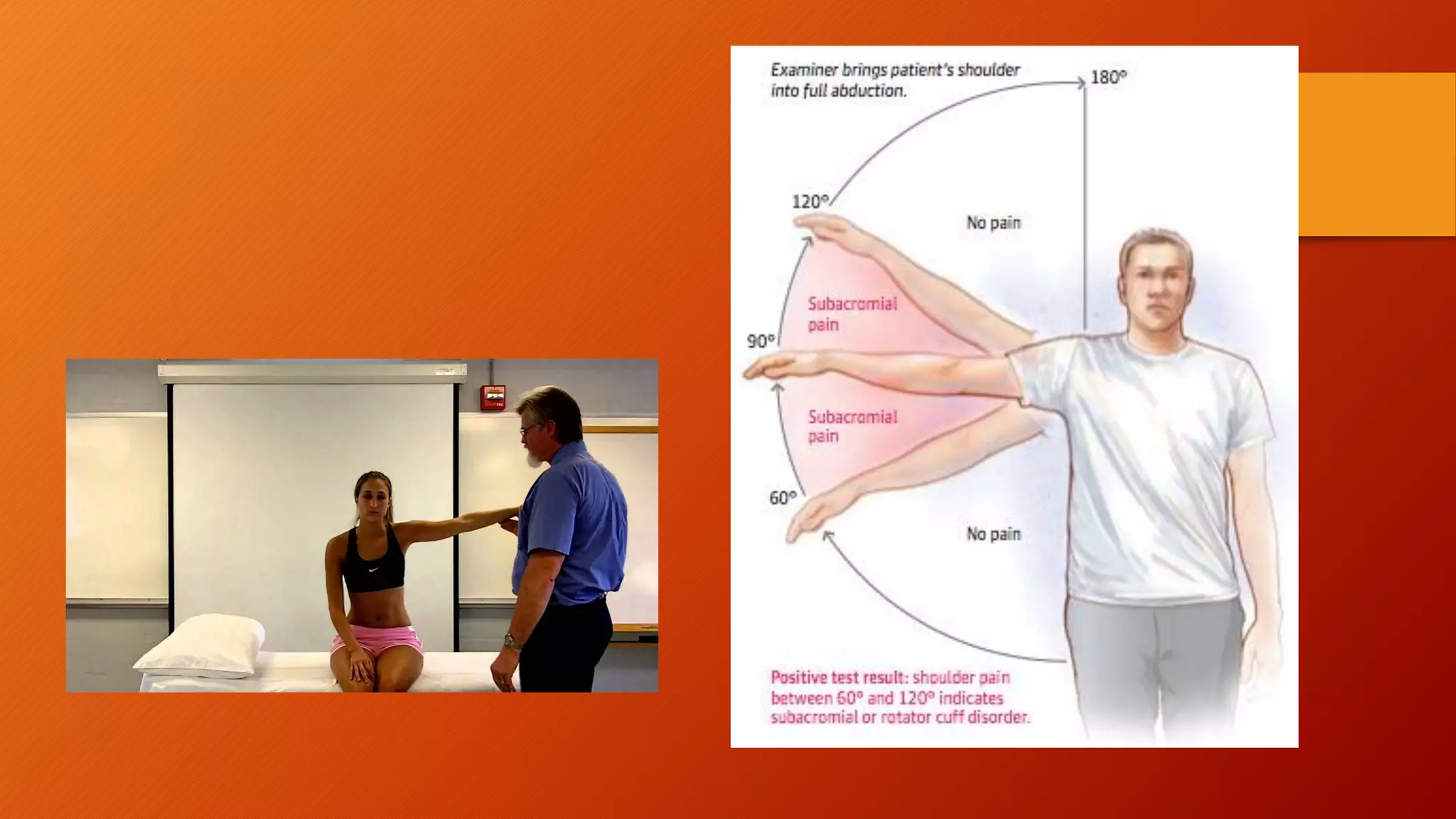 Clinical-Anatomy-of-the-Upper-Limb.pdf