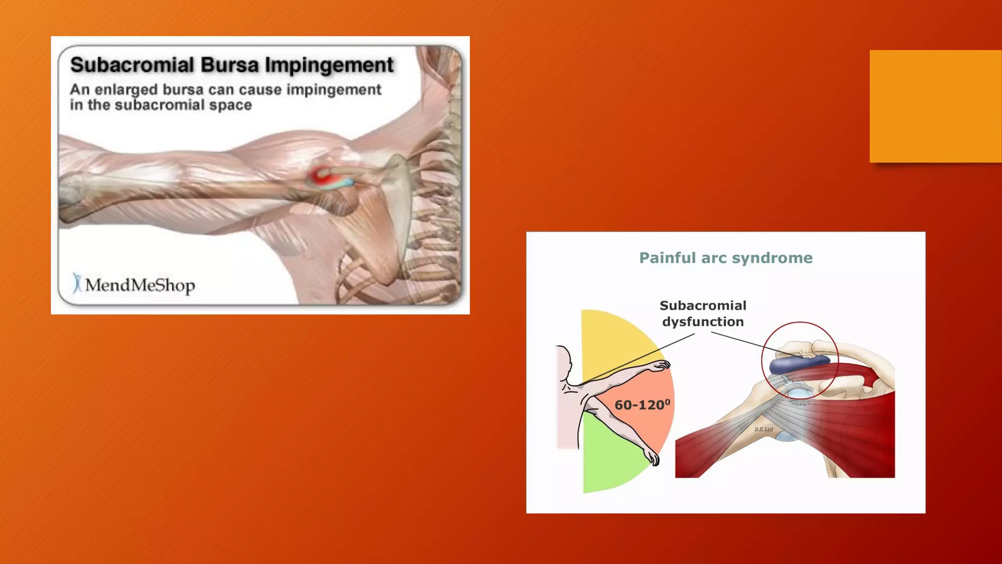Clinical-Anatomy-of-the-Upper-Limb.pdf
