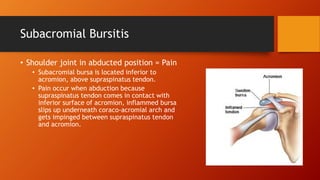 Clinical-Anatomy-of-the-Upper-Limb.pdf