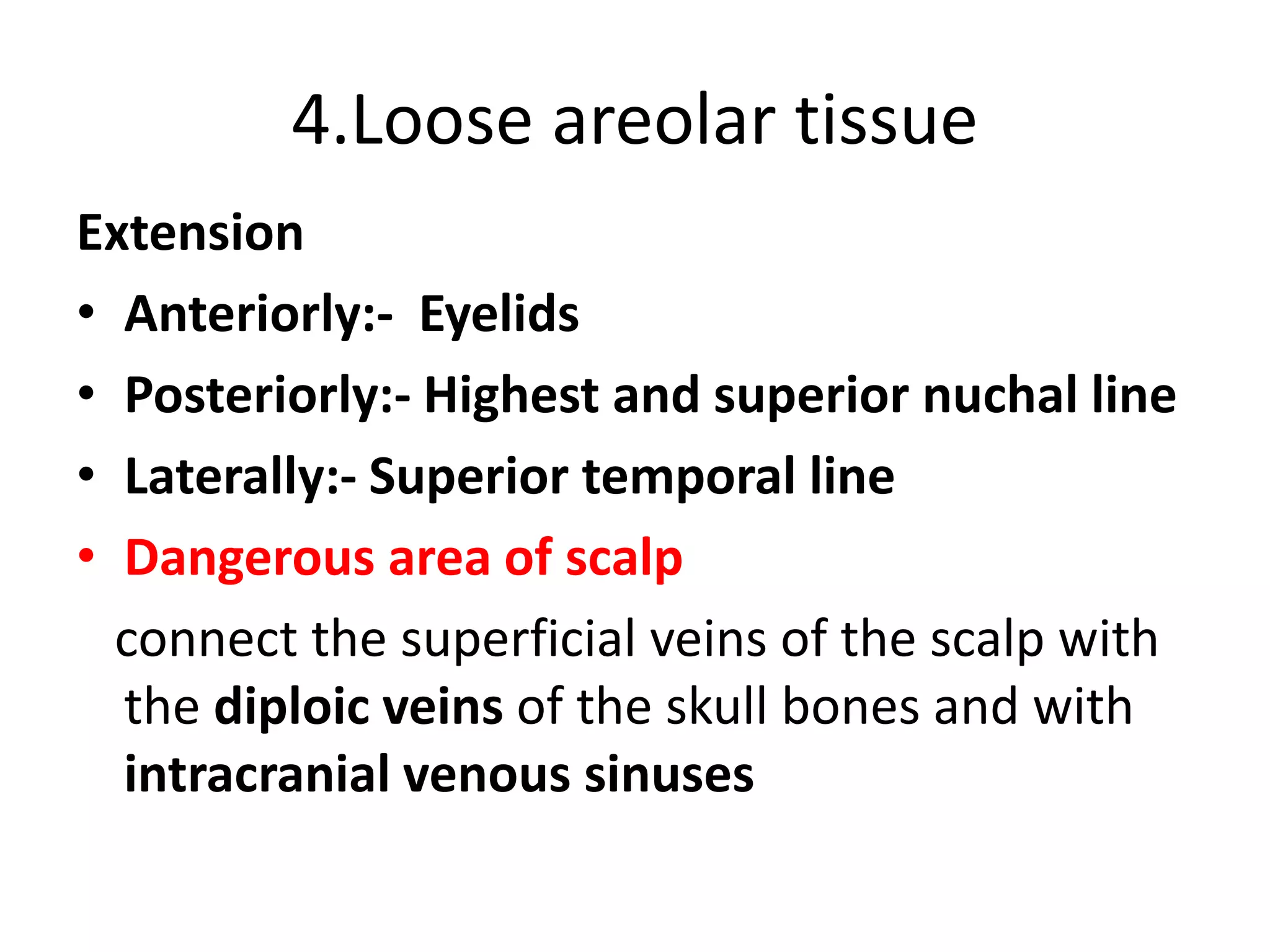 Clinical-Anatomy-SCALP-converted.pdf