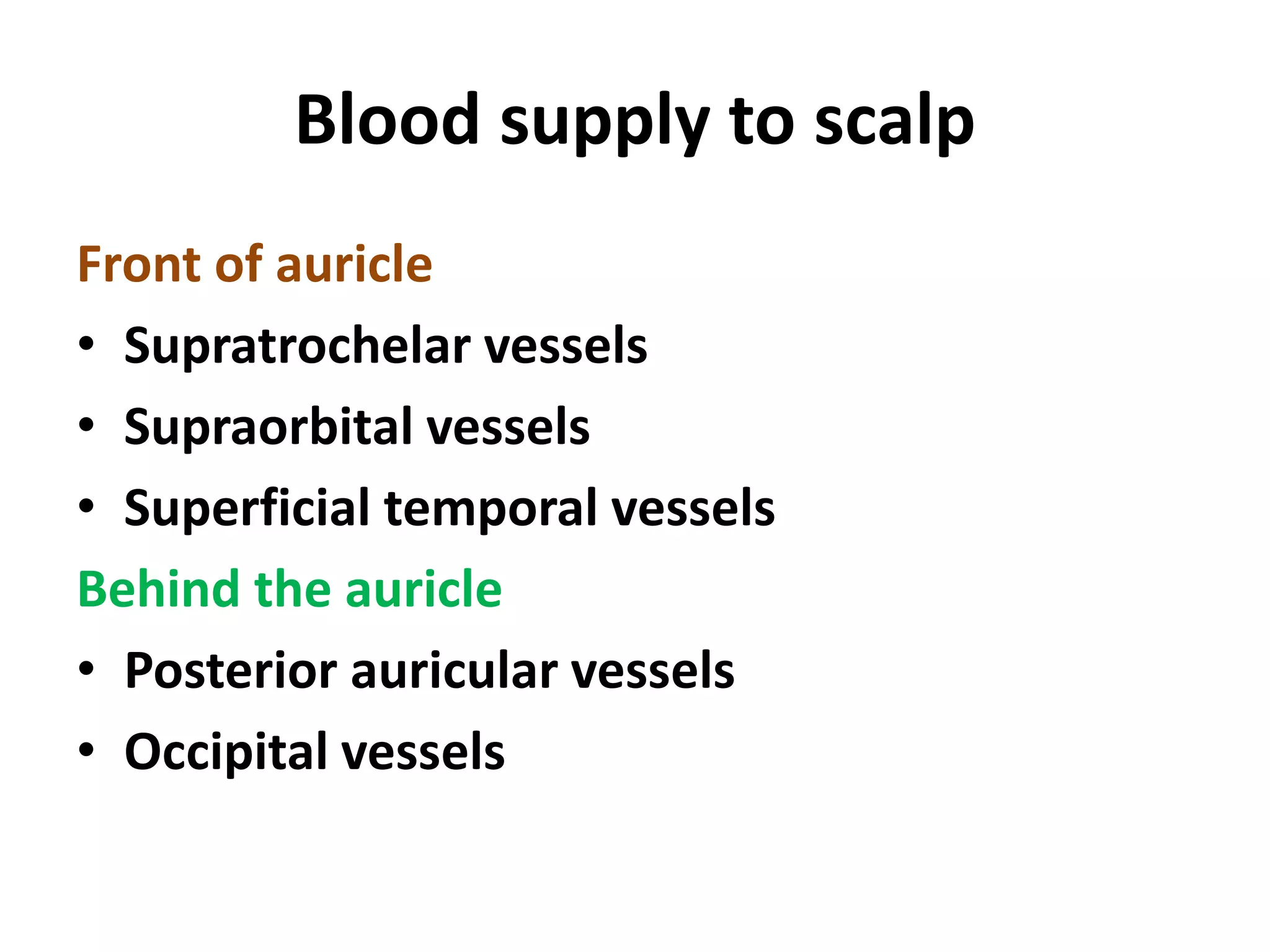 Clinical-Anatomy-SCALP-converted.pdf