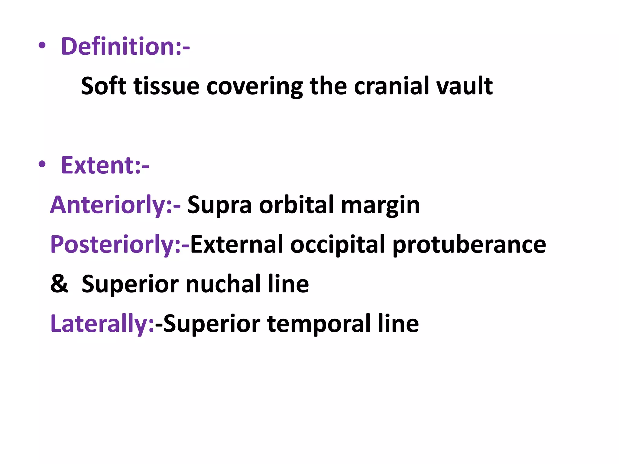 Clinical-Anatomy-SCALP-converted.pdf
