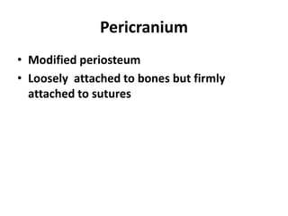 Clinical-Anatomy-SCALP-converted.pdf