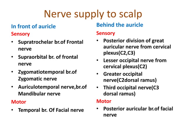 Clinical-Anatomy-SCALP-converted.pdf | Death, Injury, or Military ...