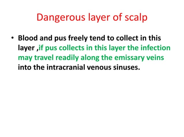 Clinical-Anatomy-SCALP-converted.pdf | Death, Injury, or Military ...