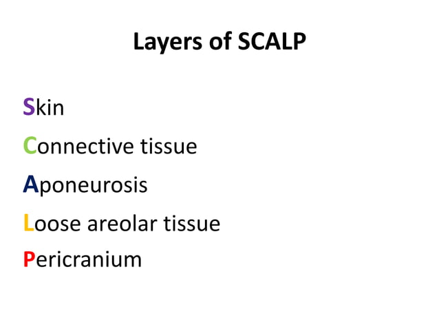 Clinical-Anatomy-SCALP-converted.pdf | Death, Injury, or Military ...