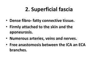 Clinical-Anatomy-SCALP-converted.pdf
