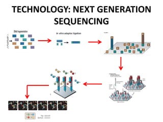 Clinical Applications of Next Generation Sequencing | PPTX
