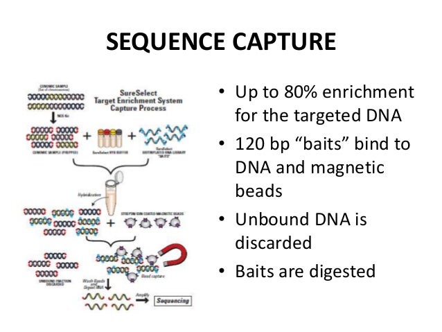 Clinical Applications of Next Generation Sequencing