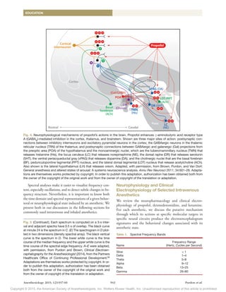 Clinical electroencephalography-for-anesthesiologists | PDF