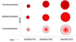 Clinical laboratory test | PPTX