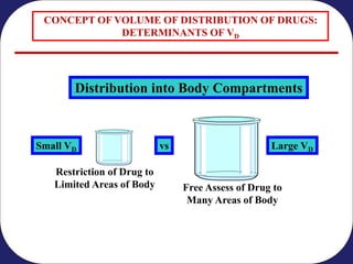 Clinical-Pharmacokinteics in pharmacy2024 | PDF
