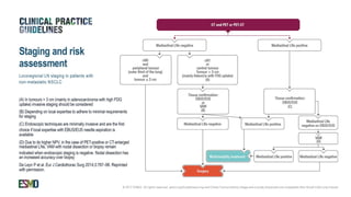 Clinical-Practice-Guidelines-Slideset-Early-and-Locally-Advanced-Non-Small-Cell-Lung-Cancer ...