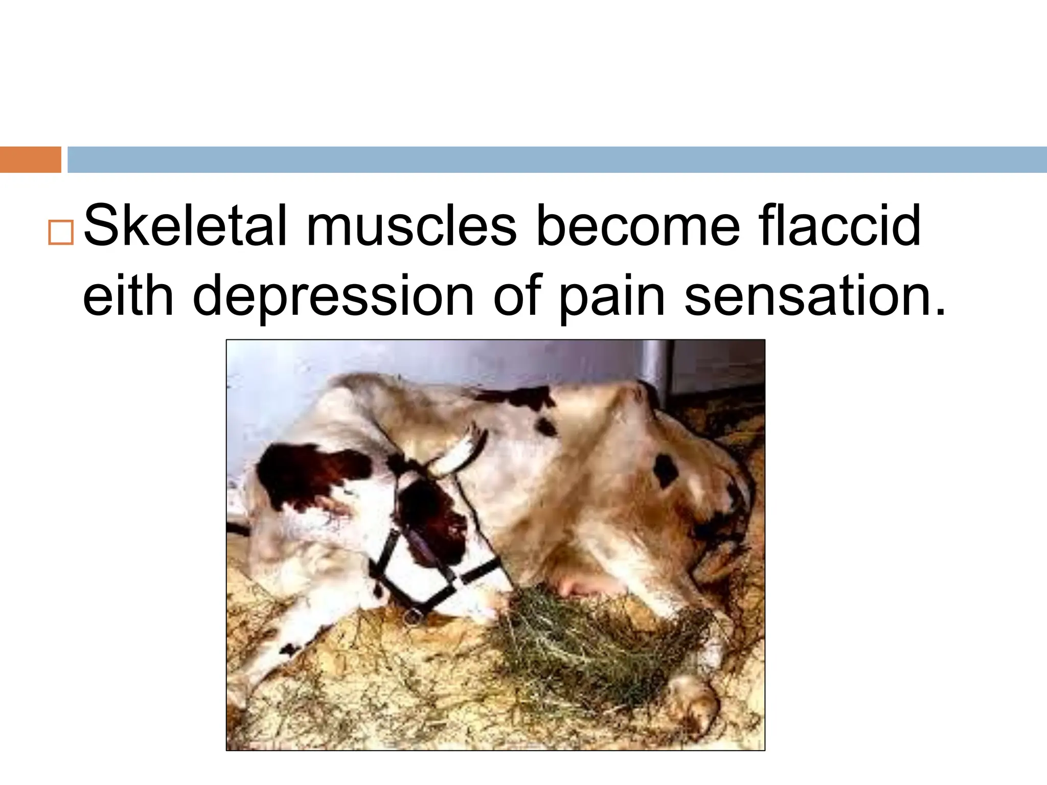 Clinical-signs-of-milk-fever.pptx