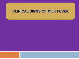Clinical-signs-of-milk-fever.pptx | Heart and Cardiovascular Diseases ...