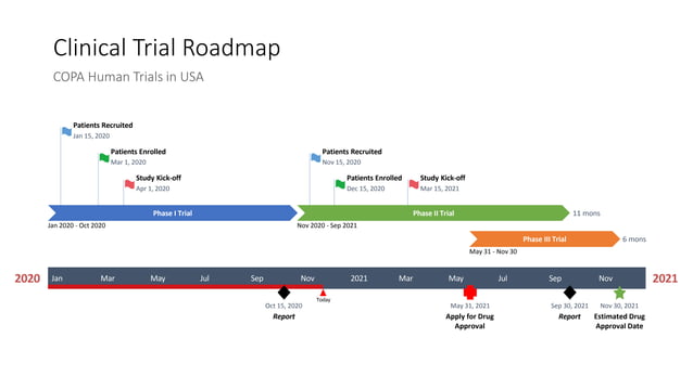 clinical-trial-roadmap-template_ws.pptx