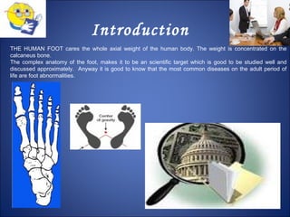 Clinical abnormalities of the human foot investigated in adult period ...