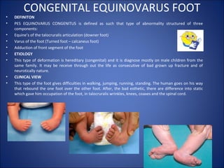 Clinical abnormalities of the human foot investigated in adult period ...