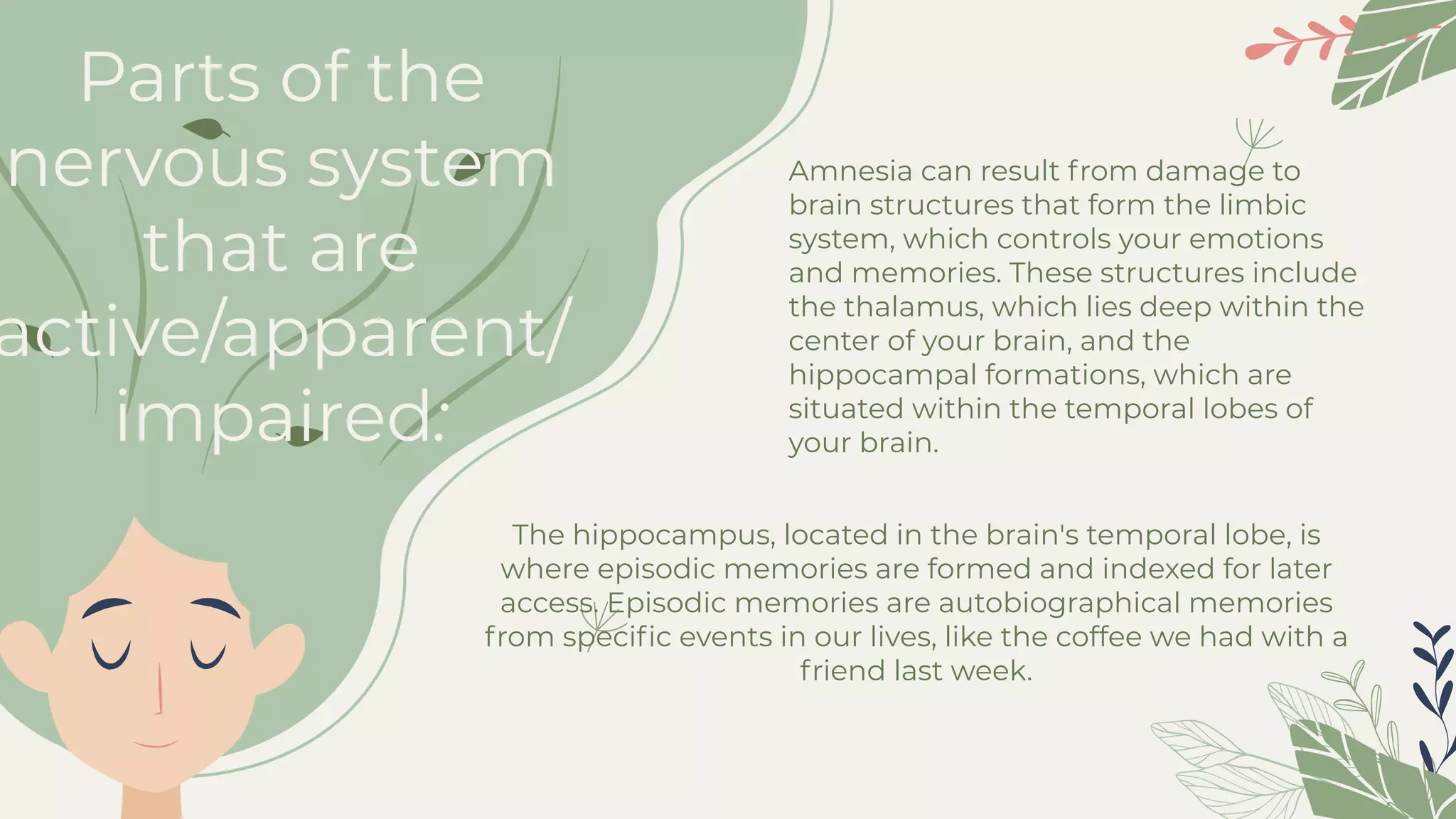 Clinical amnesia | PPT