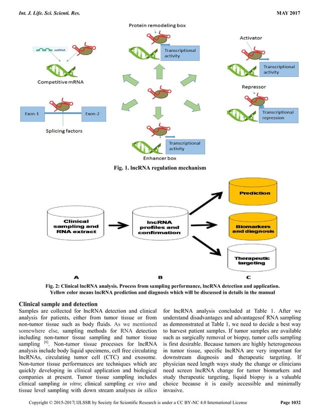 Clinical Analysis of Long Non-coding RNA (LncRNA): Therapeutic Targeting of Tumorigenesis and ...