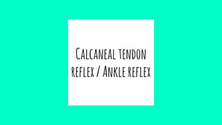 Clinical anatomy of leg | PPTX