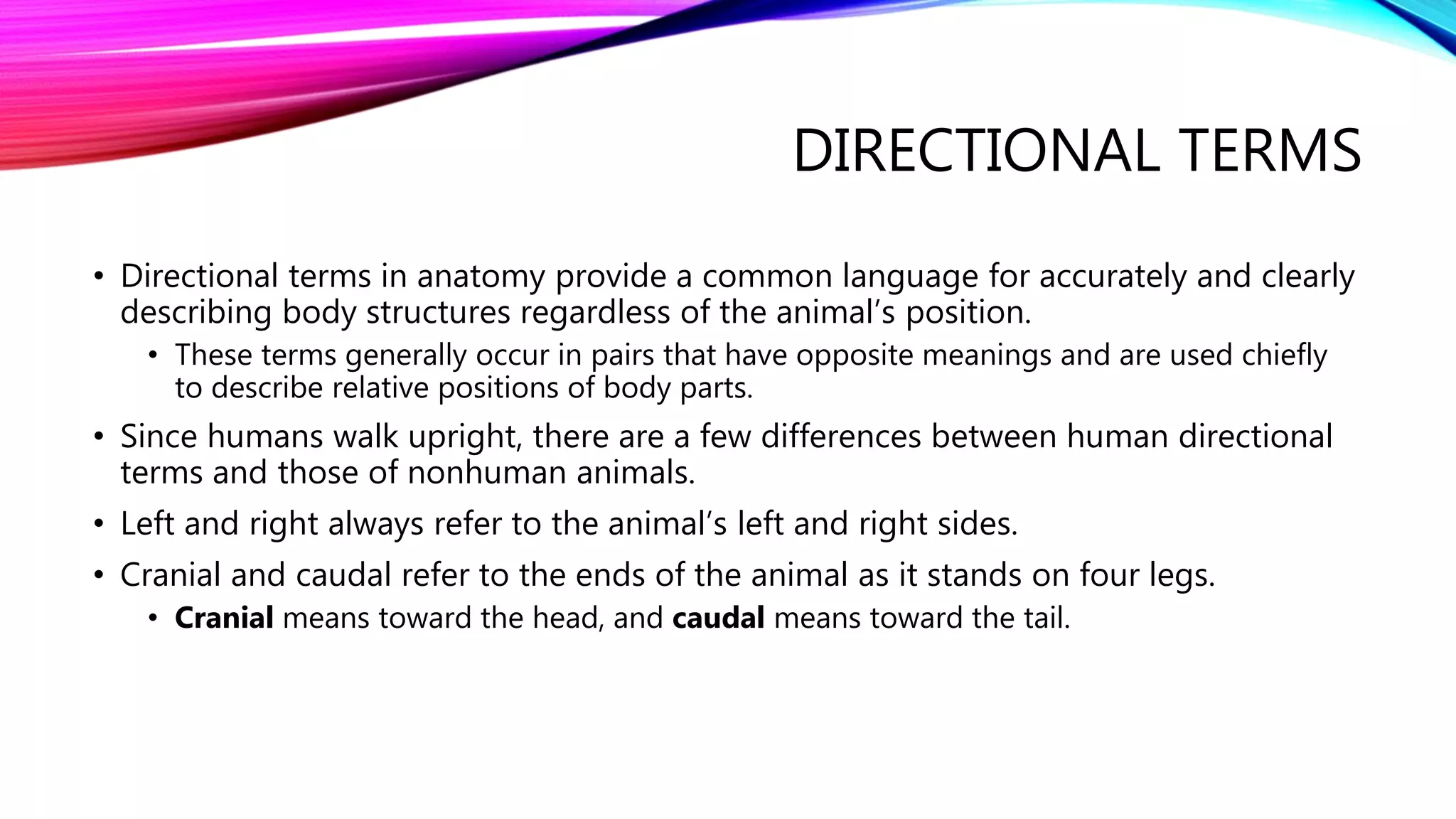 Clinical Anatomy and Physiology for Veterinary Science: Chapter One | PPTX