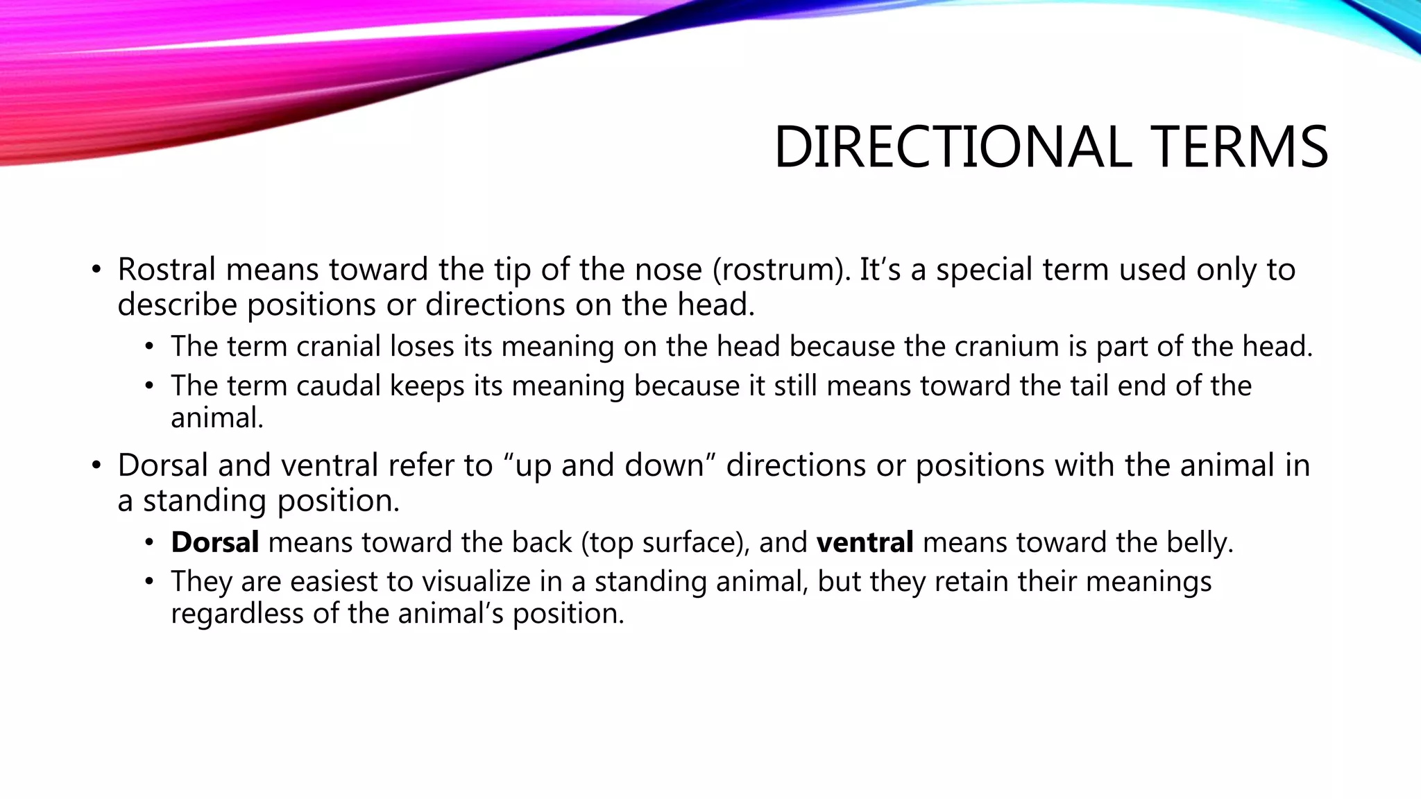 Clinical Anatomy and Physiology for Veterinary Science: Chapter One | PPTX
