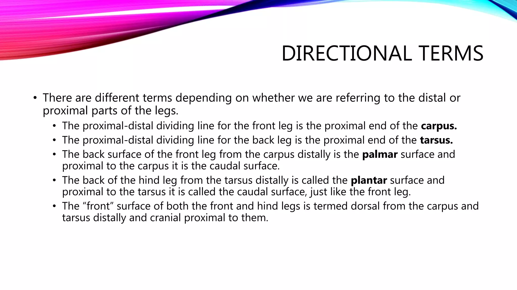 Clinical Anatomy and Physiology for Veterinary Science: Chapter One | PPTX