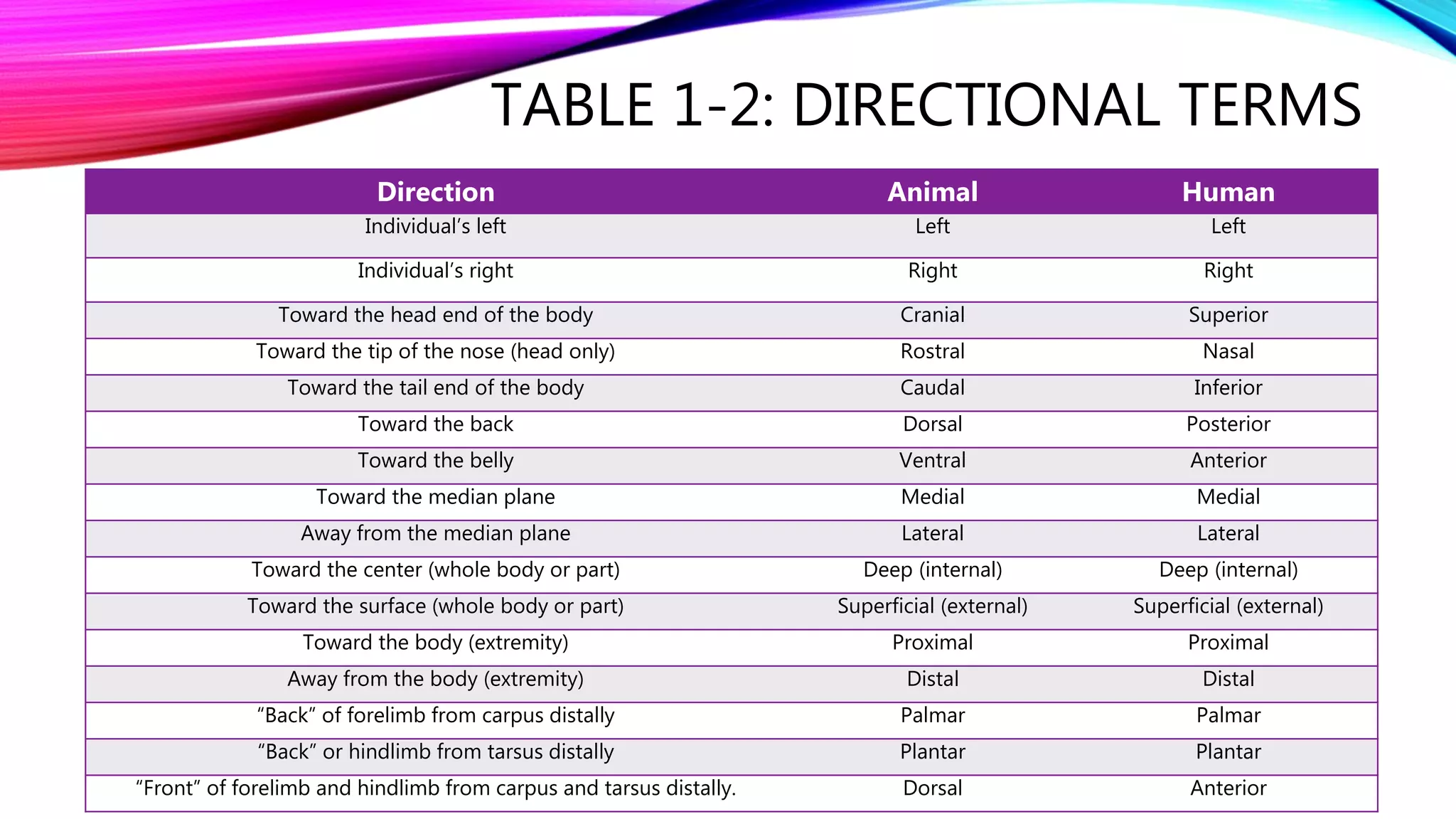 Clinical Anatomy and Physiology for Veterinary Science: Chapter One | PPTX