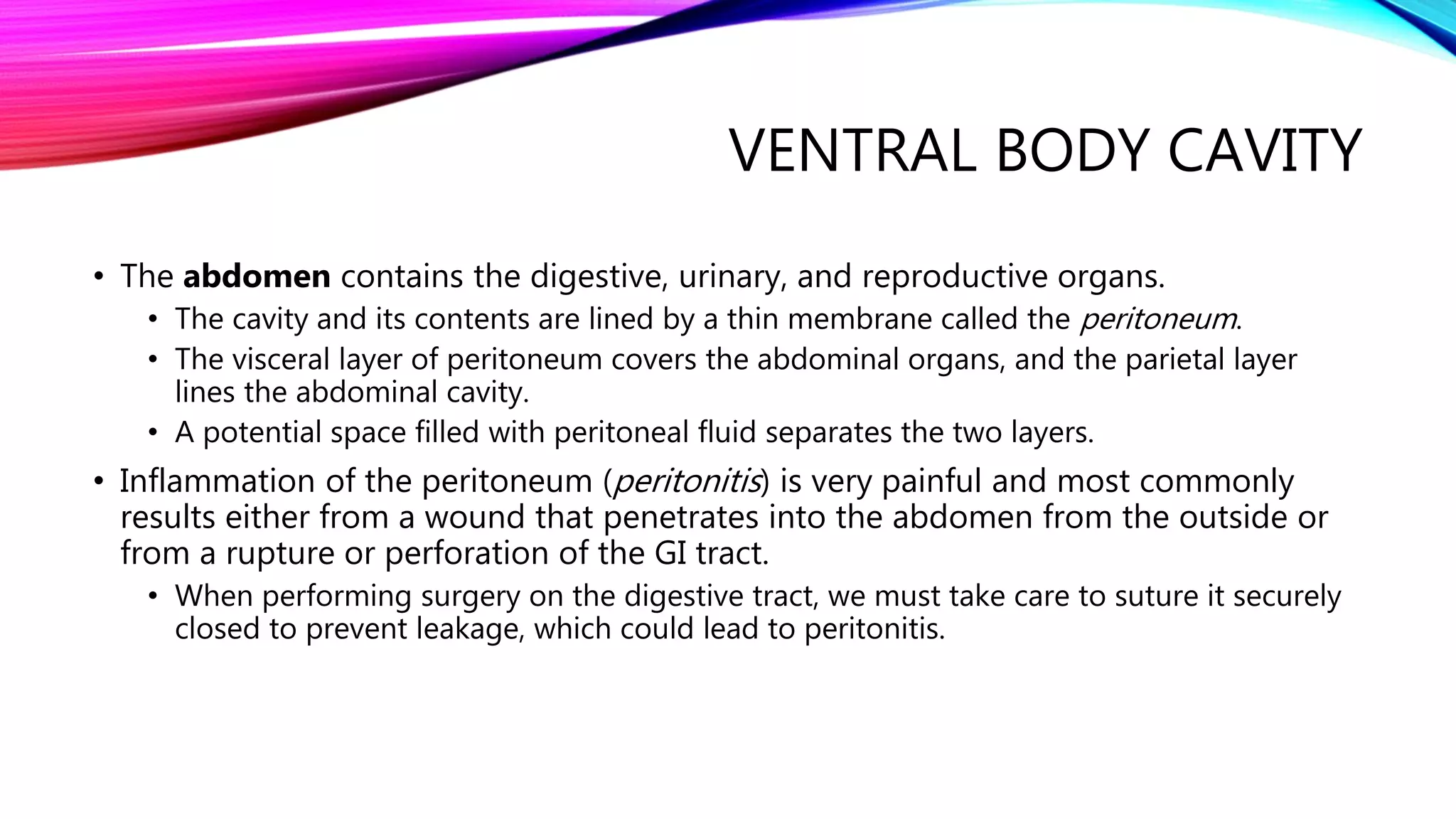 Clinical Anatomy and Physiology for Veterinary Science: Chapter One | PPTX