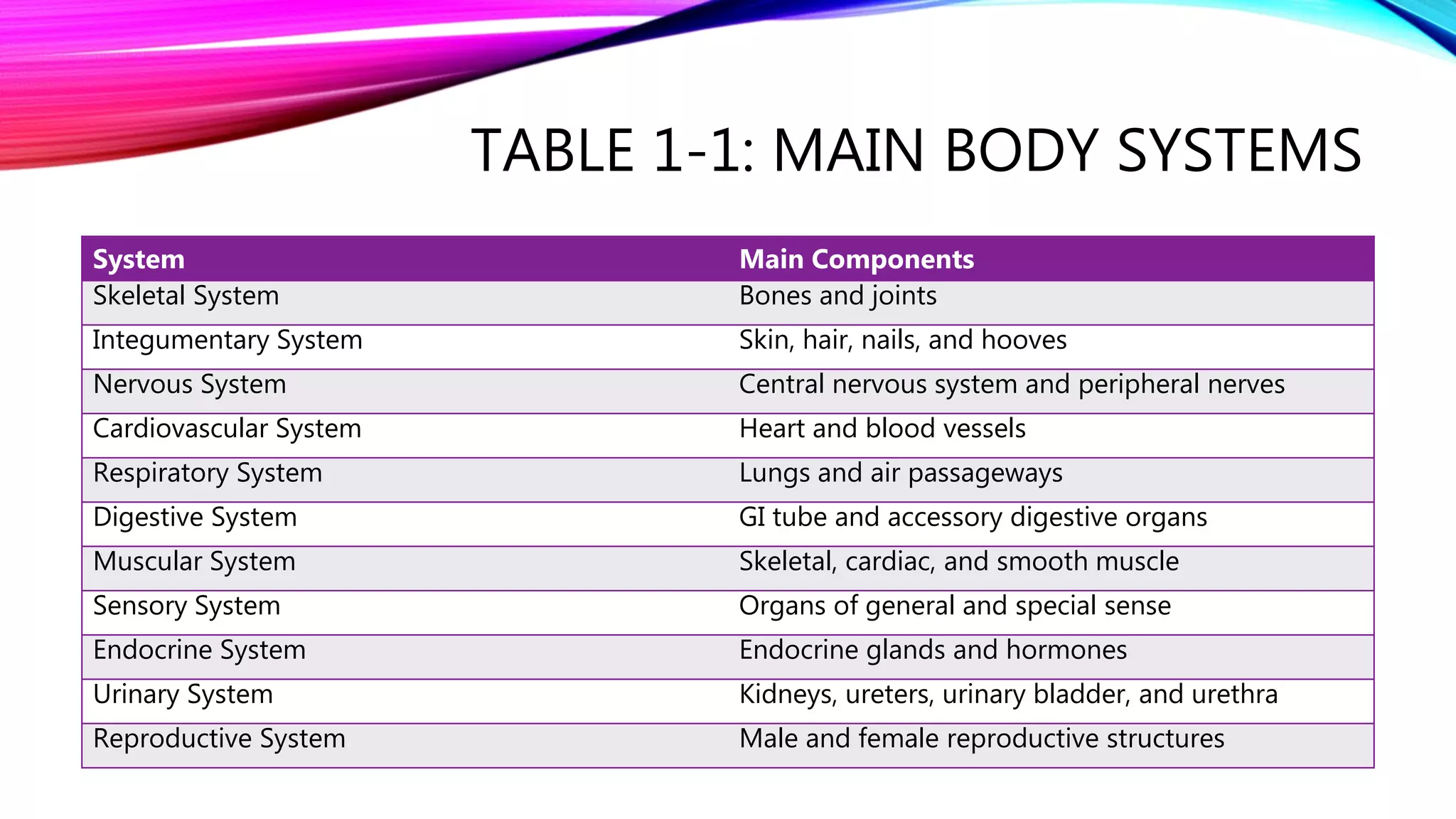 Clinical Anatomy and Physiology for Veterinary Science: Chapter One | PPTX