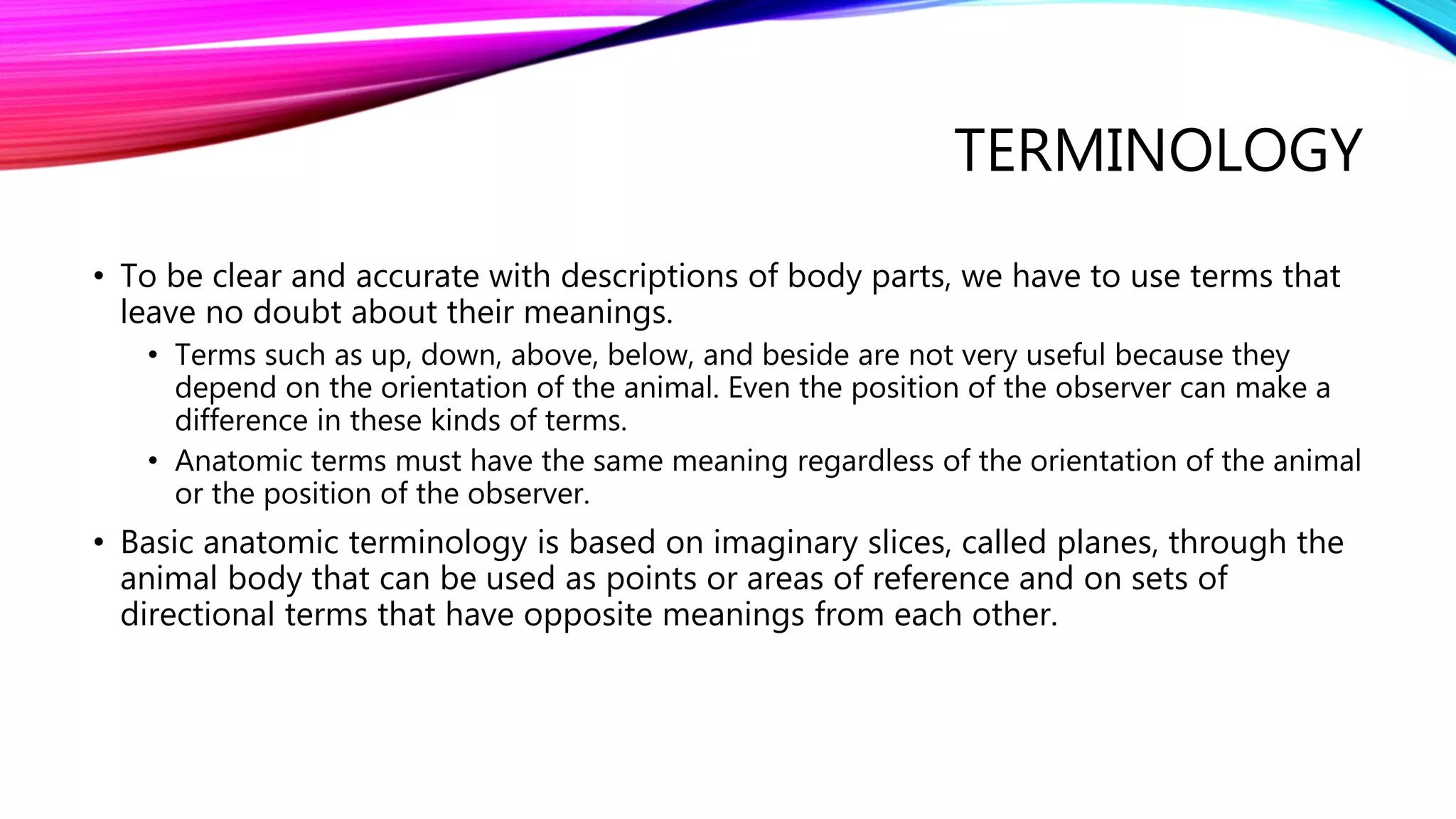 Clinical Anatomy and Physiology for Veterinary Science: Chapter One | PPTX