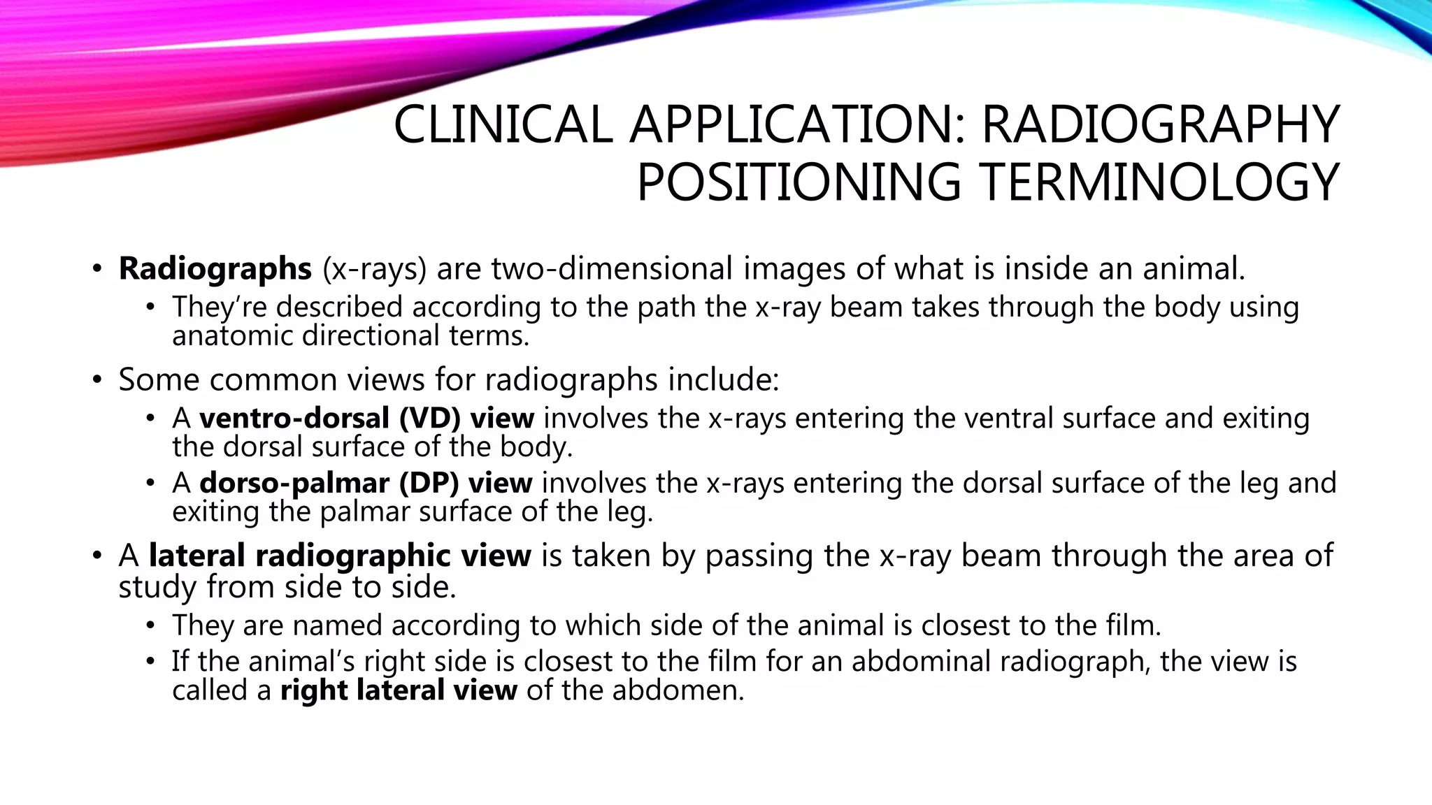 Clinical Anatomy and Physiology for Veterinary Science: Chapter One | PPTX