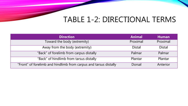 Clinical Anatomy and Physiology for Veterinary Science: Chapter One ...