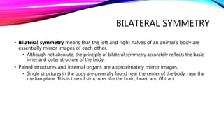 Clinical Anatomy and Physiology for Veterinary Science: Chapter One | PPTX