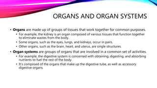 Clinical Anatomy and Physiology for Veterinary Science: Chapter One | PPTX