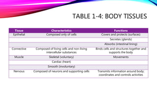 Clinical Anatomy and Physiology for Veterinary Science: Chapter One | PPTX