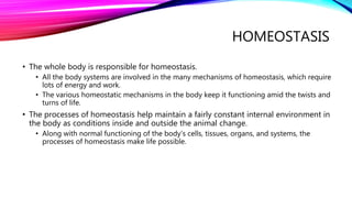 Clinical Anatomy and Physiology for Veterinary Science: Chapter One | PPTX