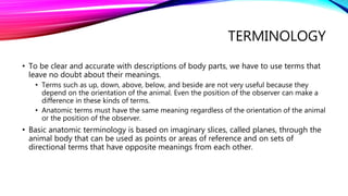 Clinical Anatomy and Physiology for Veterinary Science: Chapter One | PPTX