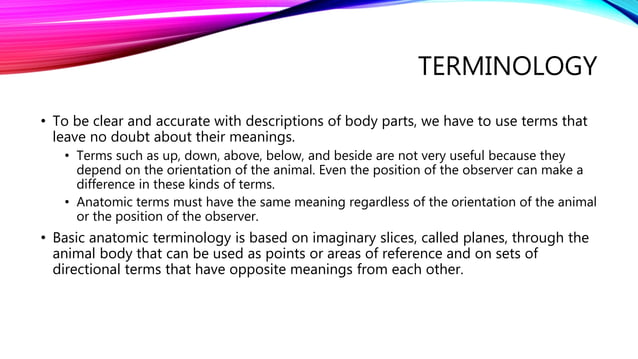 Clinical Anatomy and Physiology for Veterinary Science: Chapter One ...