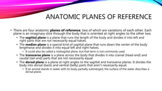 Clinical Anatomy and Physiology for Veterinary Science: Chapter One | PPTX