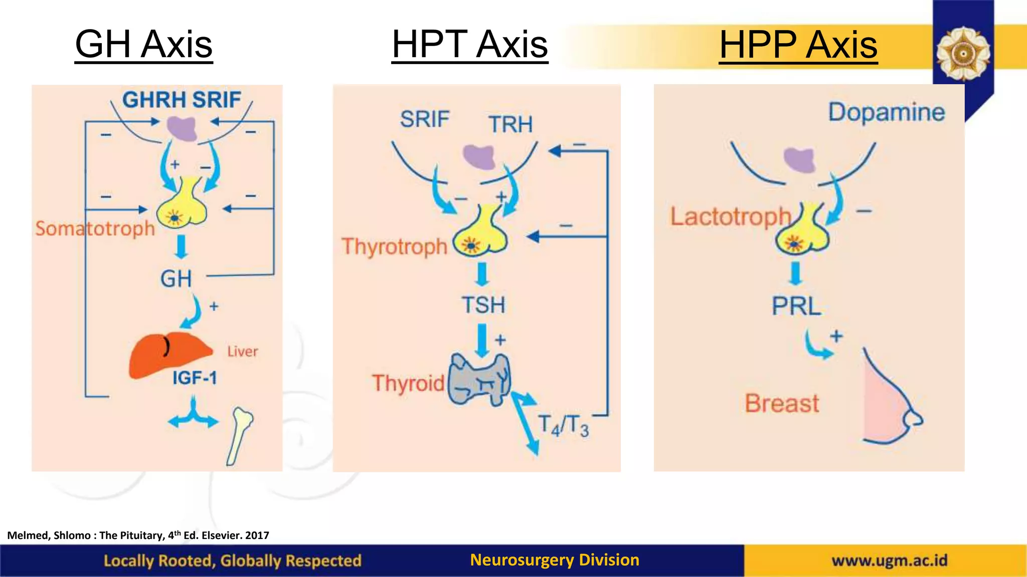 Clinical Anatomy and Physiology of the Pituitary.pptx