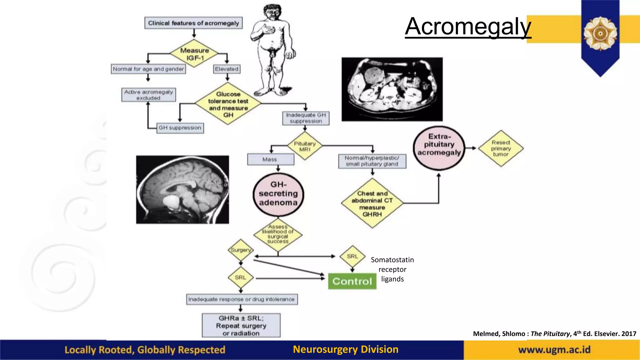 Clinical Anatomy and Physiology of the Pituitary.pptx