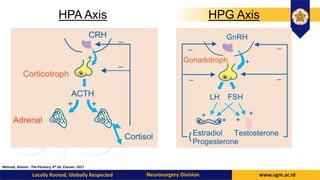 Clinical Anatomy and Physiology of the Pituitary.pptx