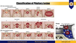 Clinical Anatomy and Physiology of the Pituitary.pptx