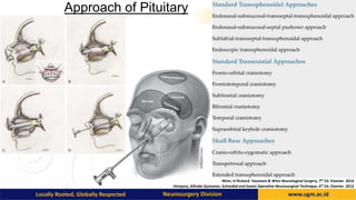 Clinical Anatomy and Physiology of the Pituitary.pptx