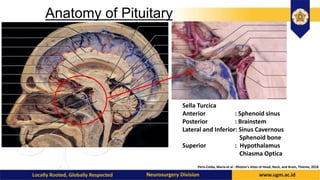 Clinical Anatomy and Physiology of the Pituitary.pptx